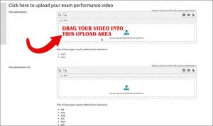 Easy Guide: Trinity Digital Exams - The Young Musician Music Institute
